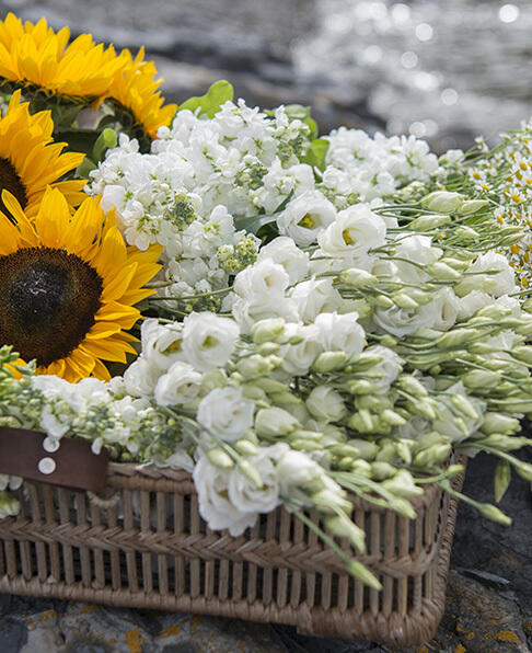 Floriss - Norges største blomsterkjede - Se vår rosegaranti